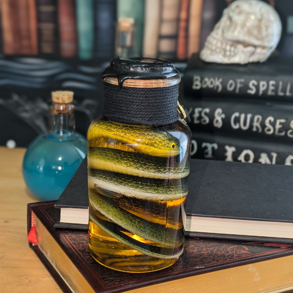 Snake Oil Apothecary Jar – Goose Devil Collections